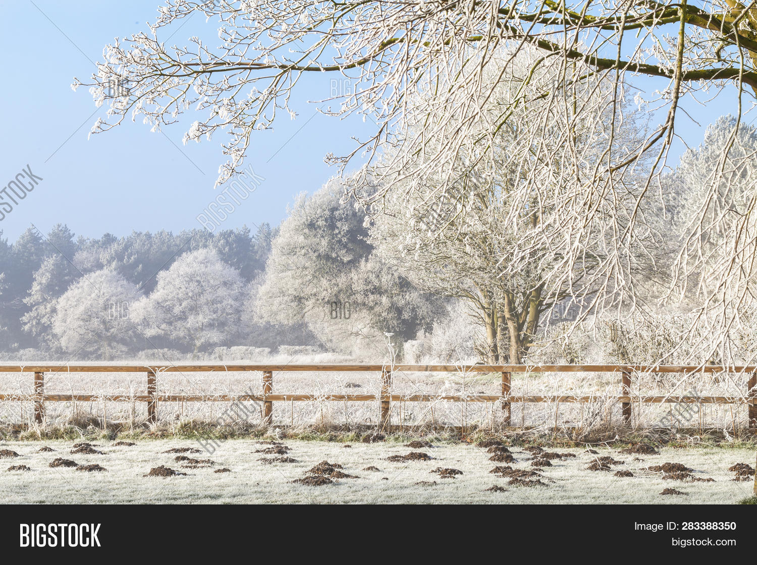 Beautiful Rural Winter Image & Photo (Free Trial) | Bigstock
