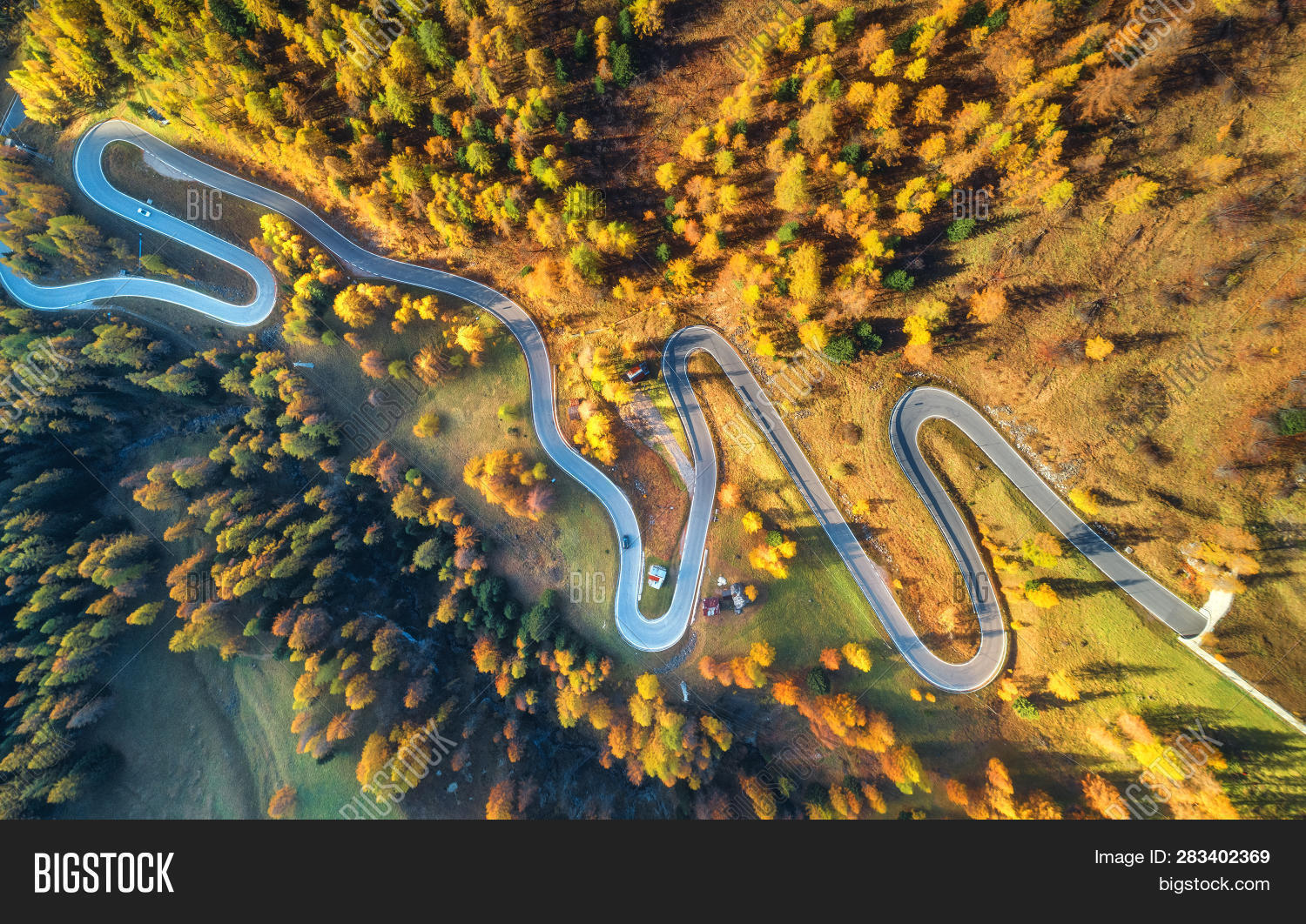 Winding Road Autumn Image & Photo (Free Trial) | Bigstock