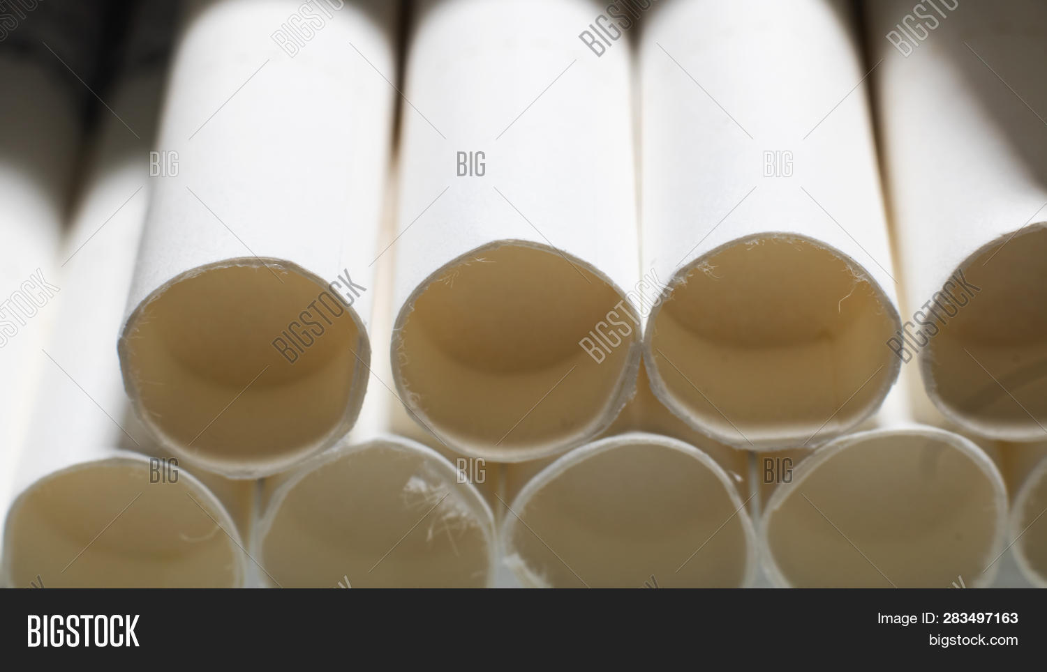 Group White Cigarette Image & Photo (Free Trial) | Bigstock