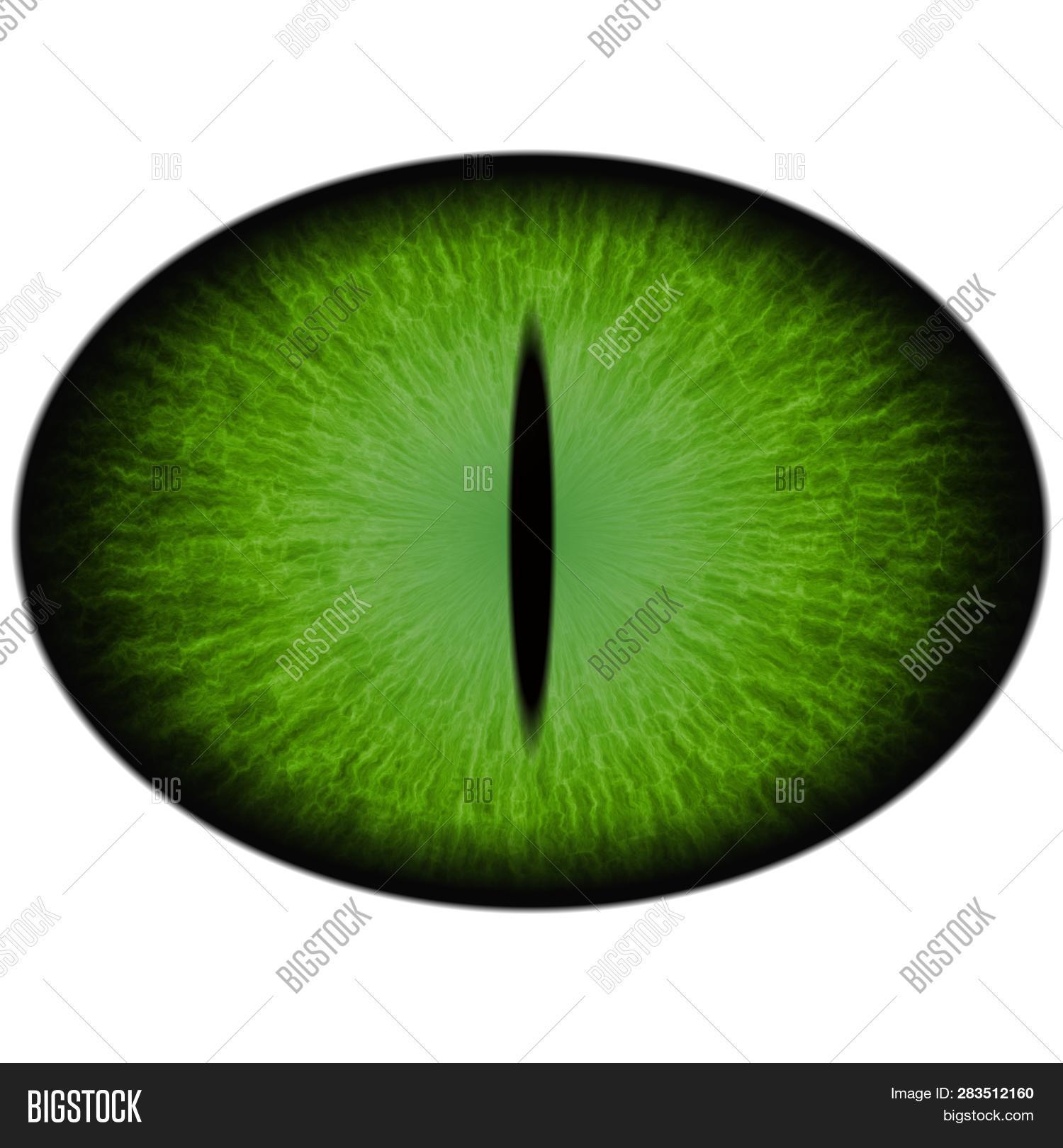 Green Raptor Eye Large Image & Photo (Free Trial) | Bigstock