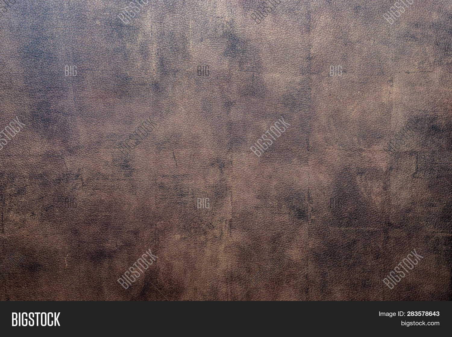 Bison Skin. Texture Image & Photo (Free Trial) | Bigstock