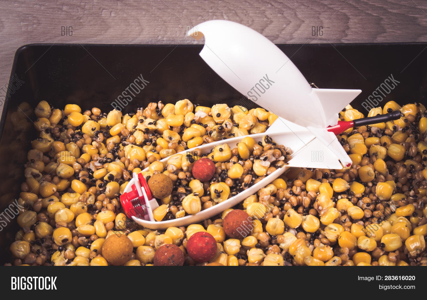 Bait Rocket Carp Image & Photo (Free Trial) | Bigstock