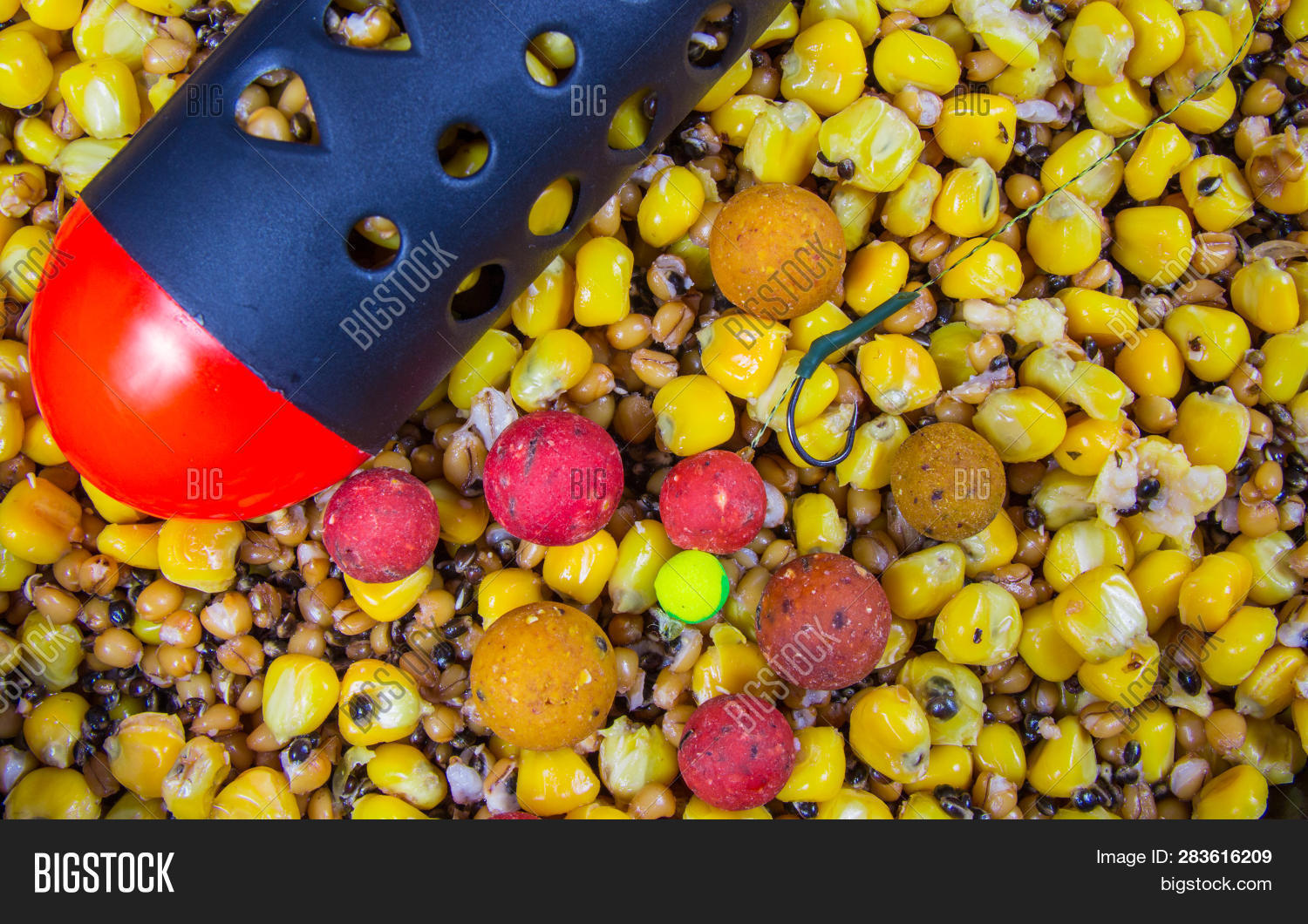 Bait Rocket Carp Image & Photo (Free Trial) | Bigstock