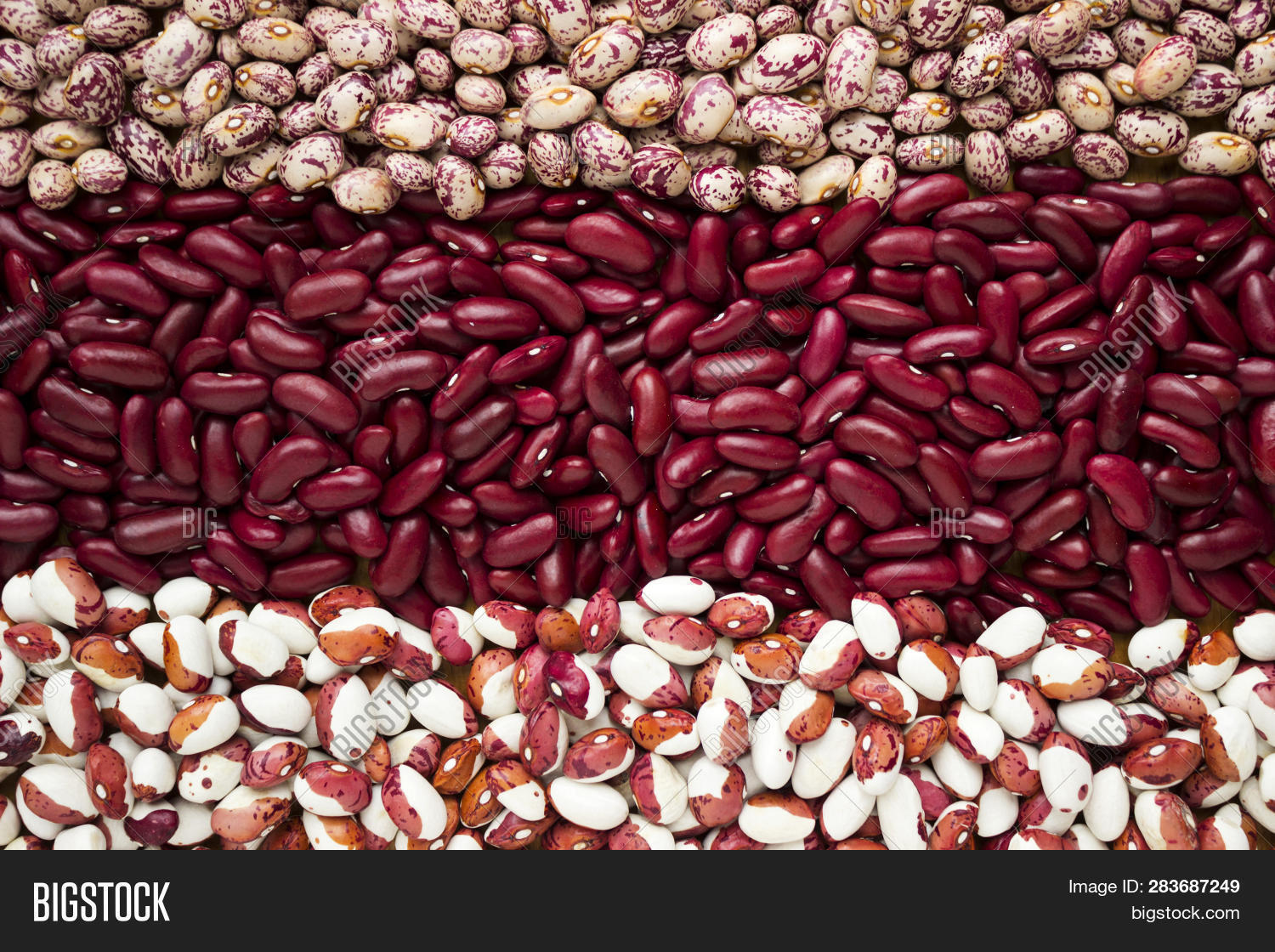 Different Types Beans Image & Photo (Free Trial) | Bigstock
