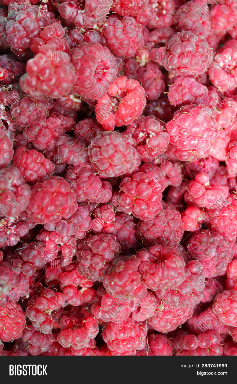 Tasty Juicy Ripe Fresh Image & Photo (Free Trial) | Bigstock