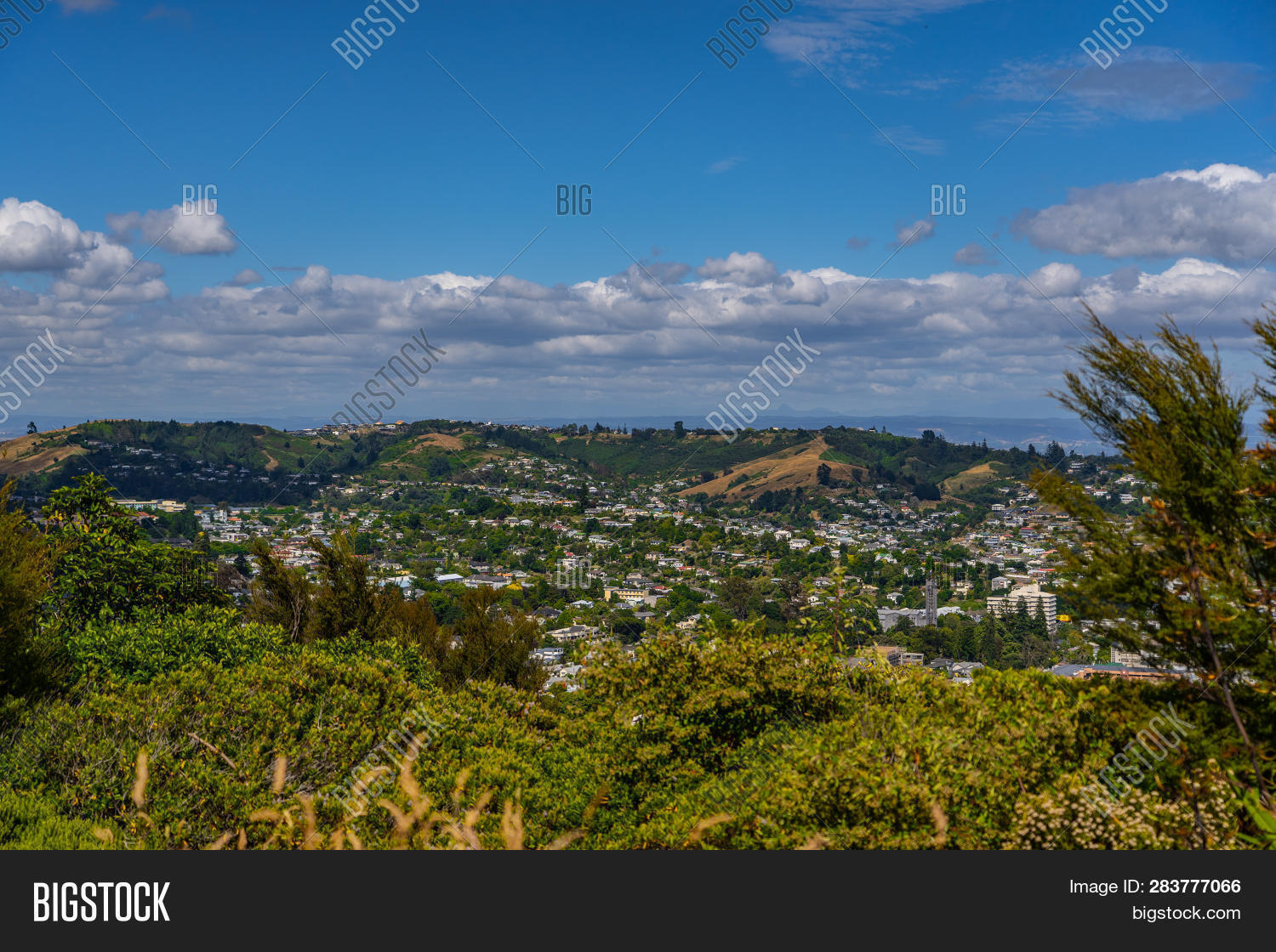 Nelson Above Centre Image & Photo (Free Trial) | Bigstock