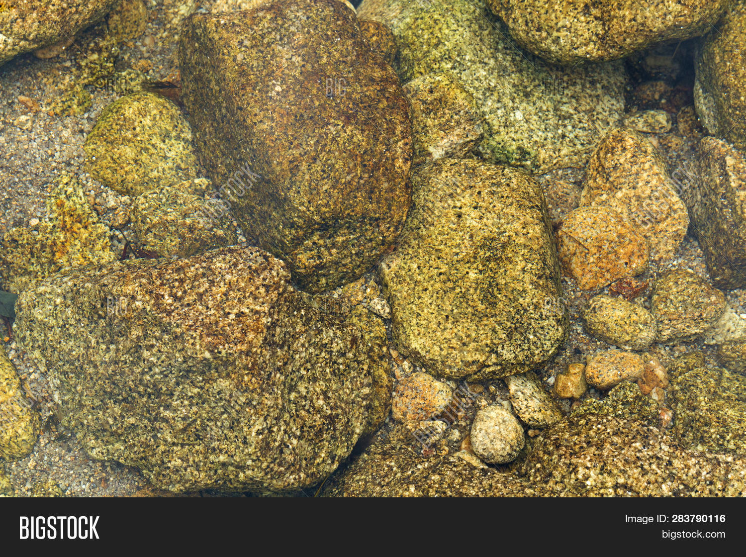 Textures Underwater Image & Photo (Free Trial) | Bigstock