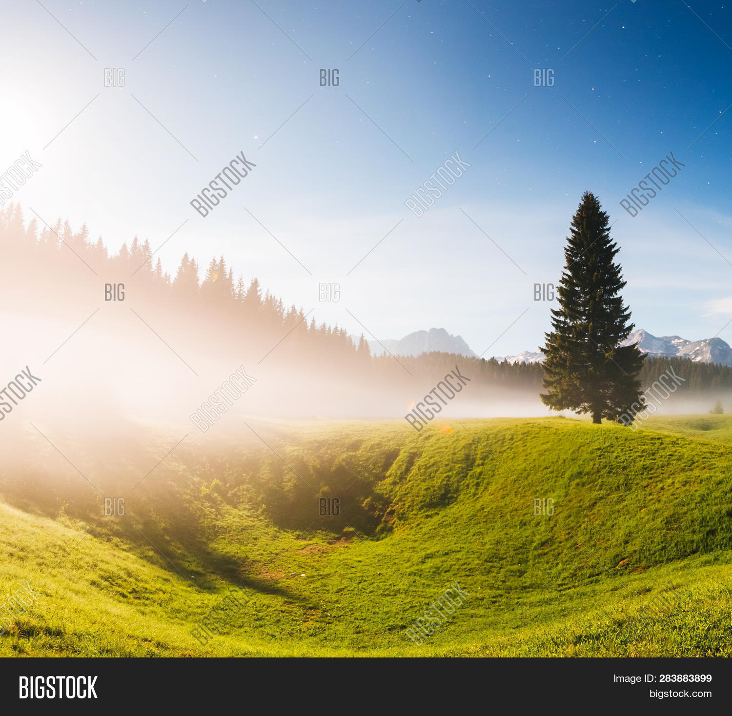 Misty Summer Night Image & Photo (Free Trial) | Bigstock