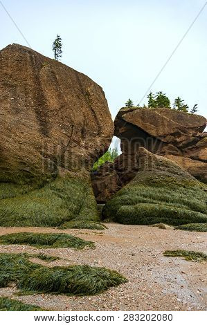 Bay Fundy Canada Image & Photo (Free Trial) | Bigstock