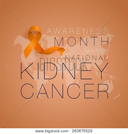 National Kidney Vector & Photo (Free Trial) | Bigstock