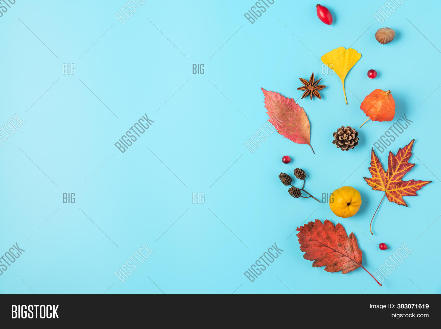 Autumn Composition Image & Photo (Free Trial) | Bigstock