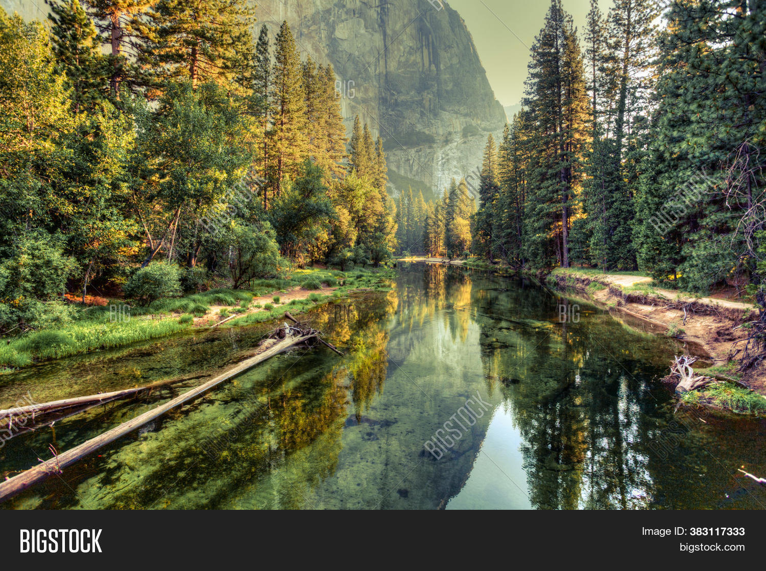 Forest Sunrise Misty Image & Photo (Free Trial) | Bigstock