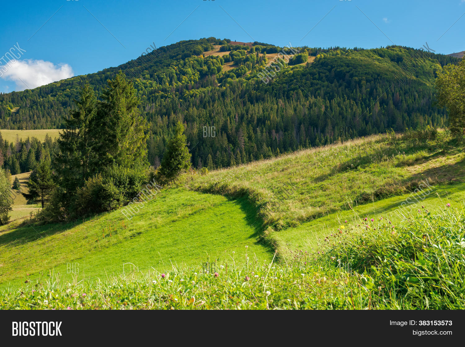 Rural Fields On Image & Photo (Free Trial) | Bigstock
