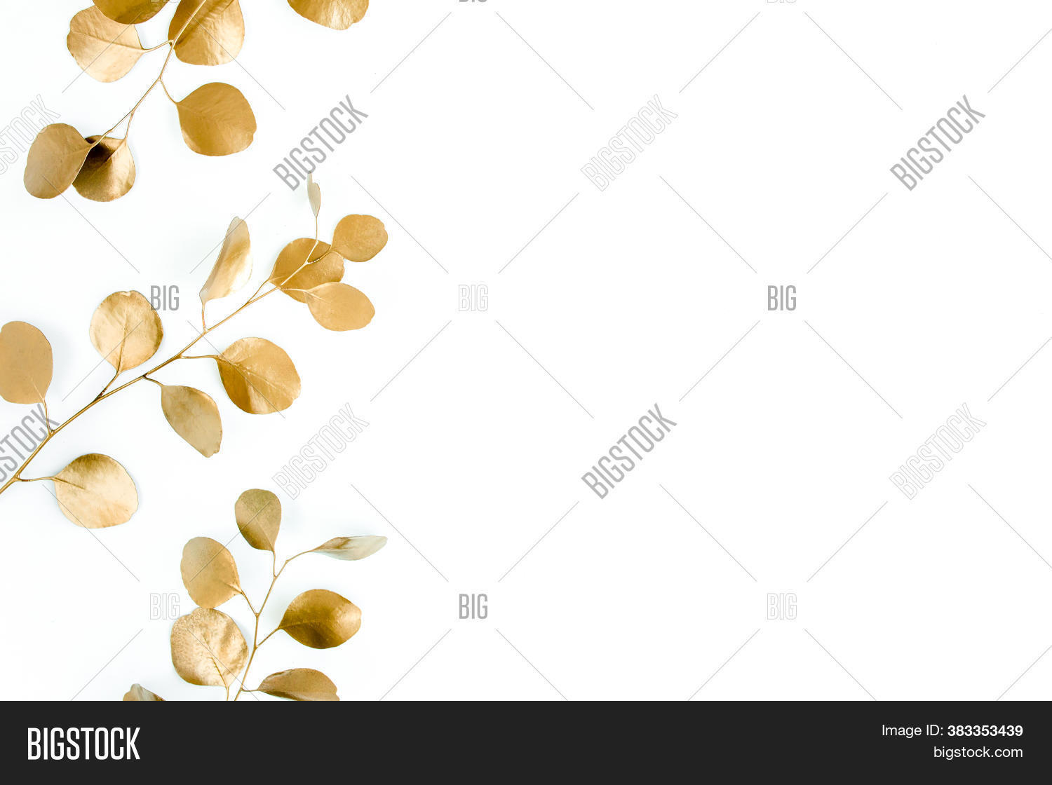 Borders Frame Gold Image & Photo (Free Trial) | Bigstock