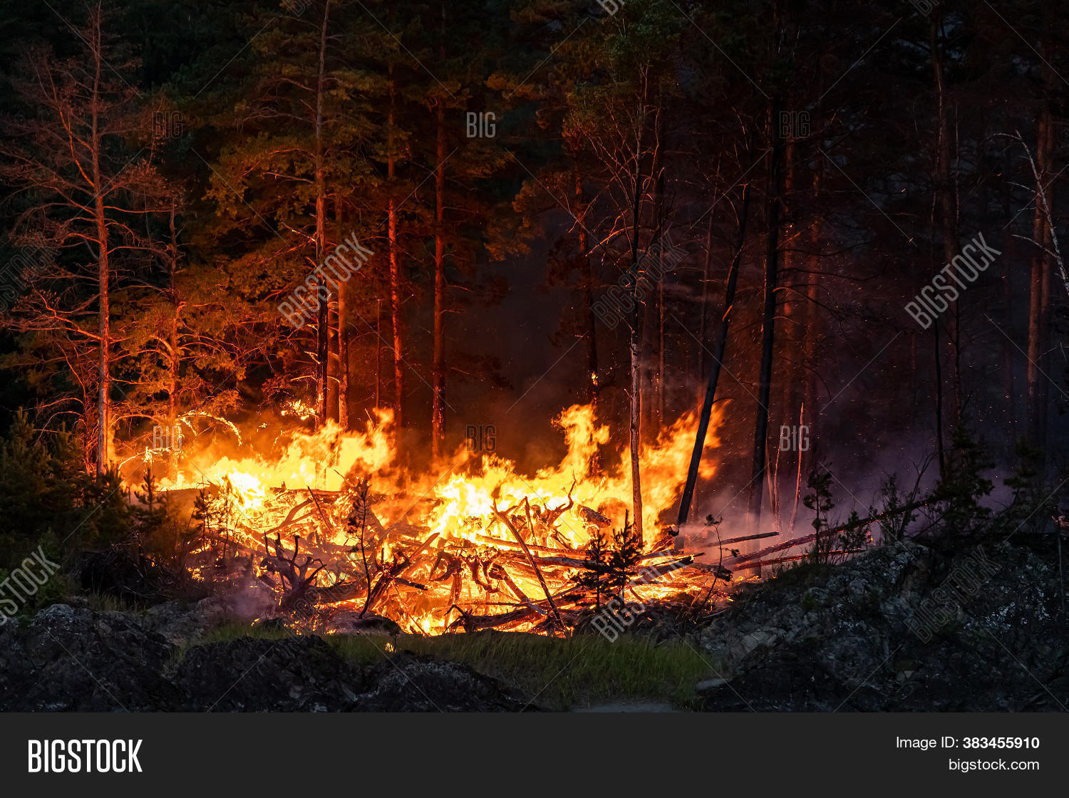Big Flames Forest Image & Photo (Free Trial) | Bigstock