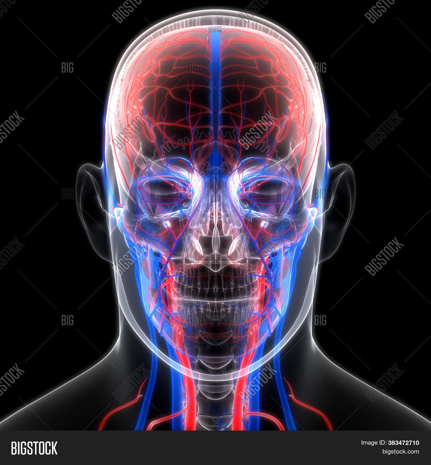 3d Illustration Image & Photo (Free Trial) | Bigstock