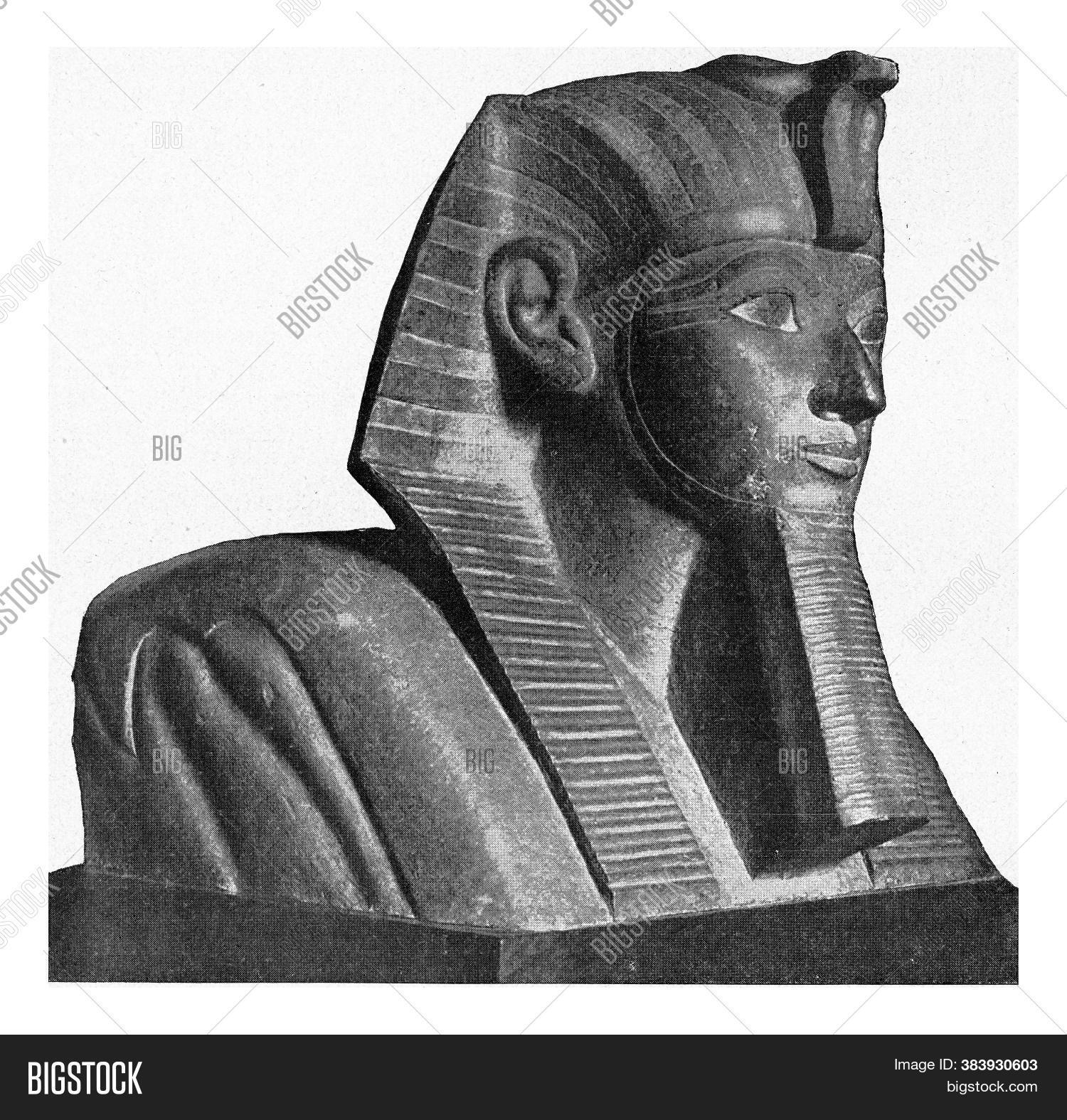 Head Sphinx Facial Image & Photo (Free Trial) | Bigstock