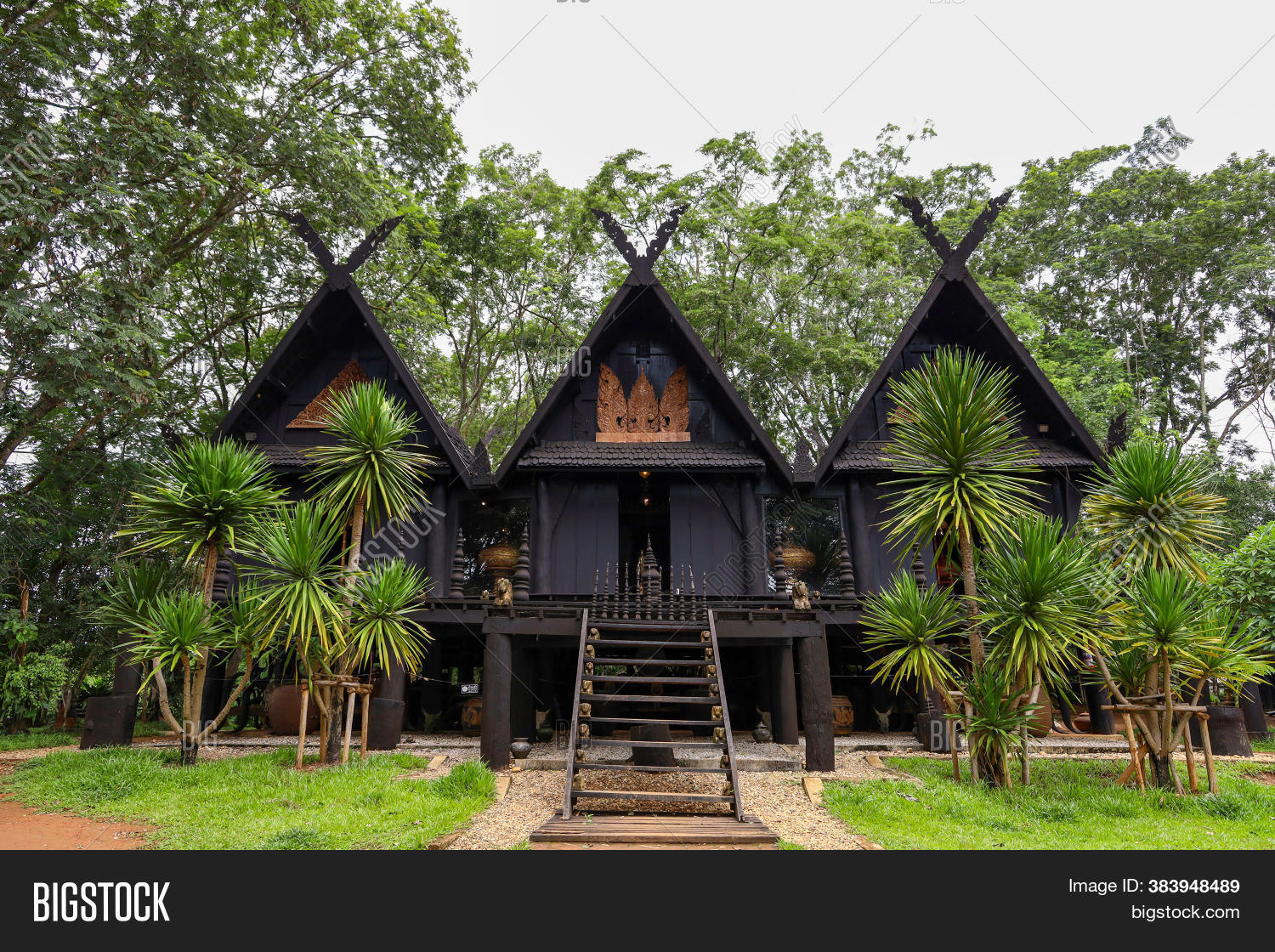 Chiang Rai,thailand- Image & Photo (Free Trial) | Bigstock