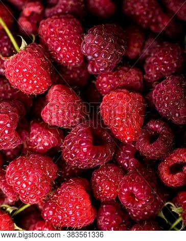 Red Raspberries Images, Illustrations & Vectors (Free) - Bigstock