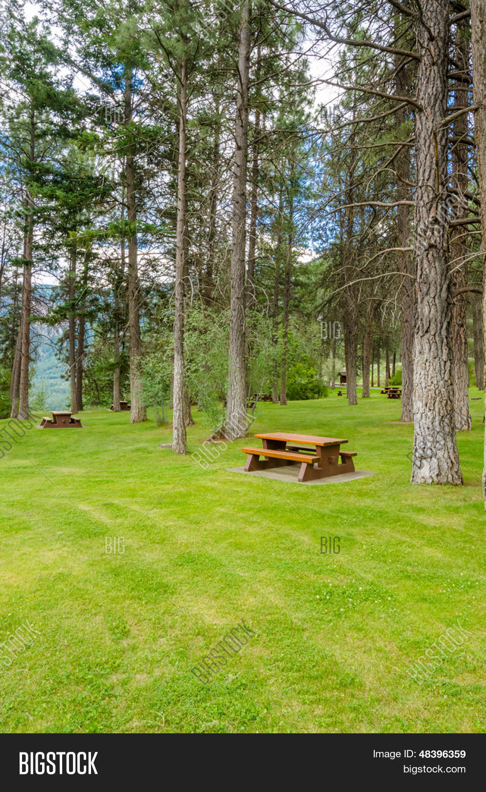 Beautiful Picnic Area Image & Photo (Free Trial) | Bigstock