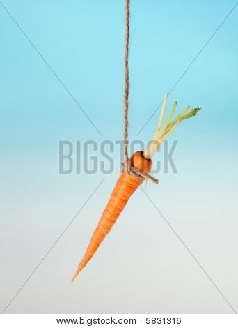 Carrot Bait On String Image & Photo (Free Trial) | Bigstock