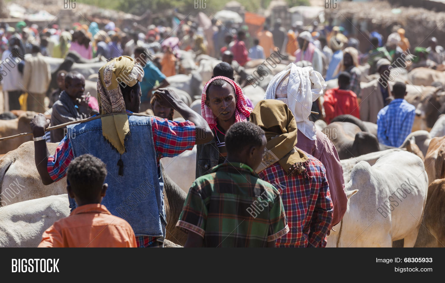 Babile. Ethiopia - Image & Photo (Free Trial) | Bigstock