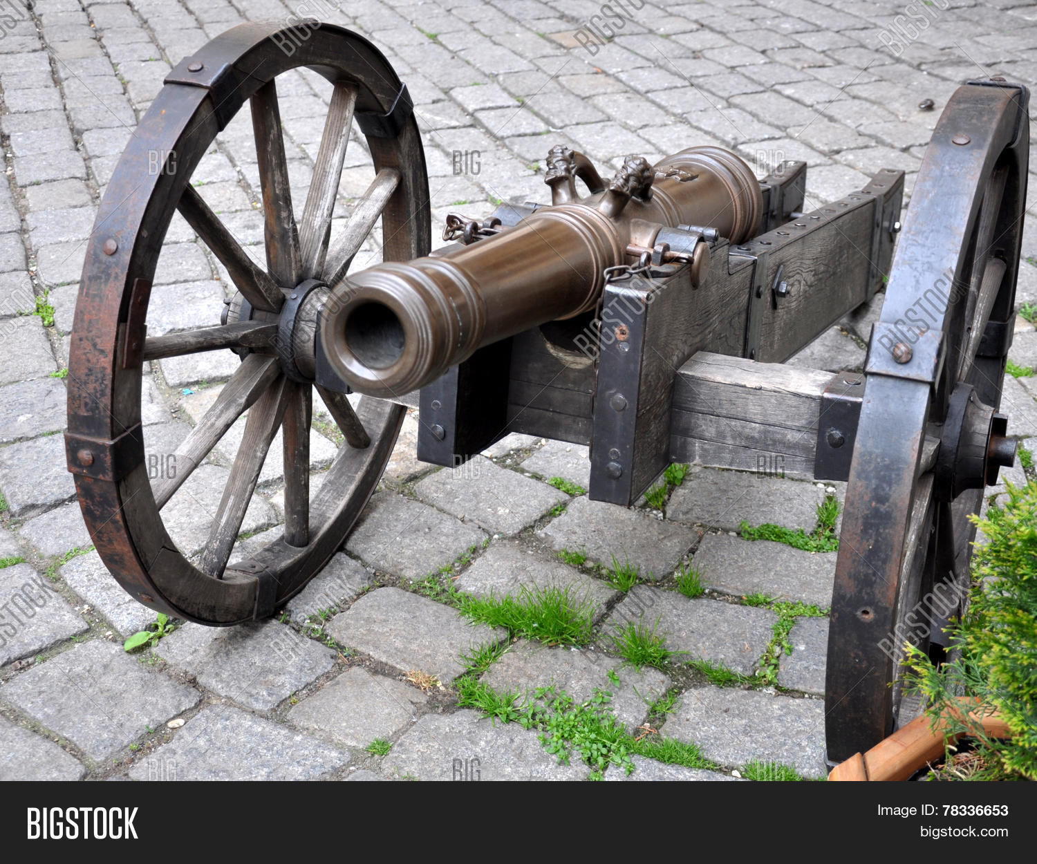 Old Military Cannon Image & Photo (Free Trial) | Bigstock