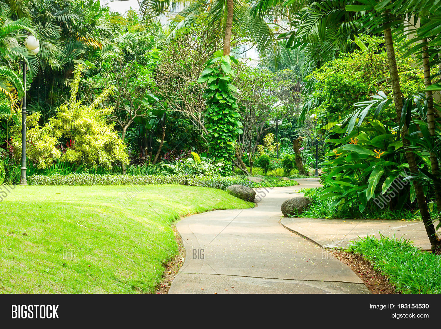 Beautiful Green Park Image & Photo (Free Trial) | Bigstock