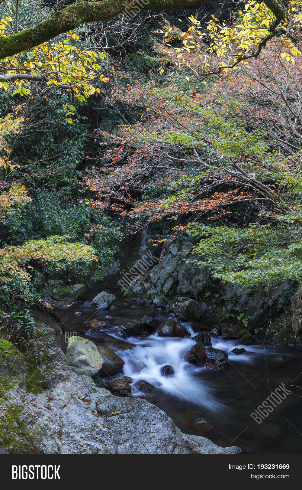 Streamlet Overflowing Image & Photo (Free Trial) | Bigstock