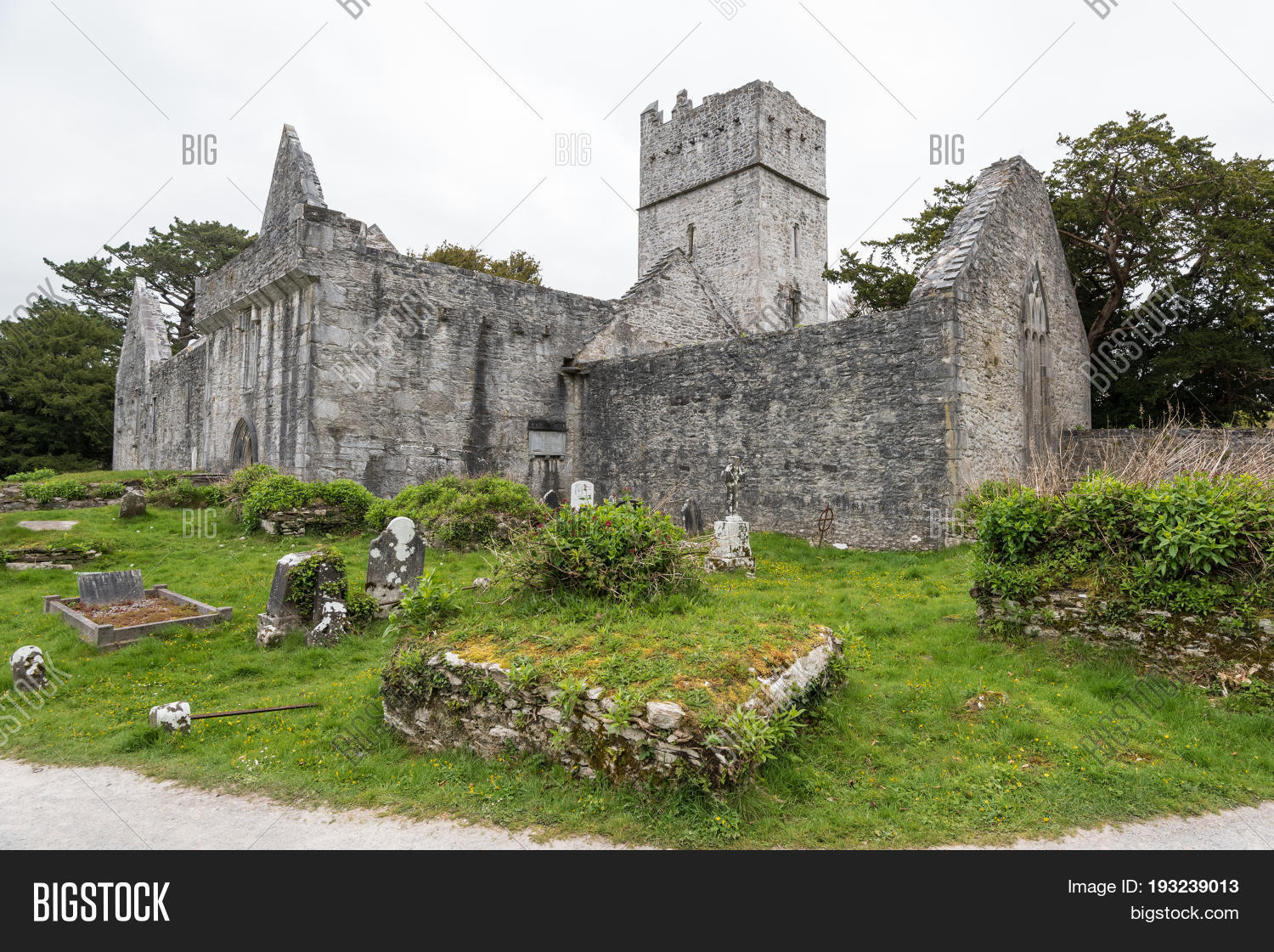 Muckross Abbey Image & Photo (Free Trial) | Bigstock