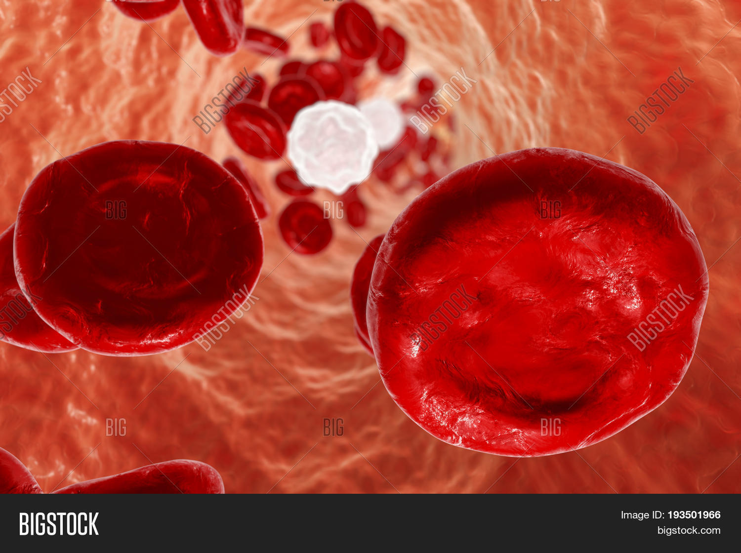 Inside Blood Vessel Image & Photo (Free Trial) | Bigstock