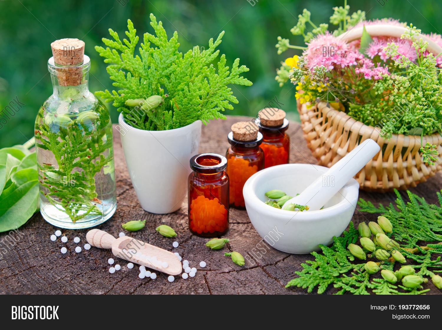 Bottles Homeopathic Image & Photo (Free Trial) | Bigstock