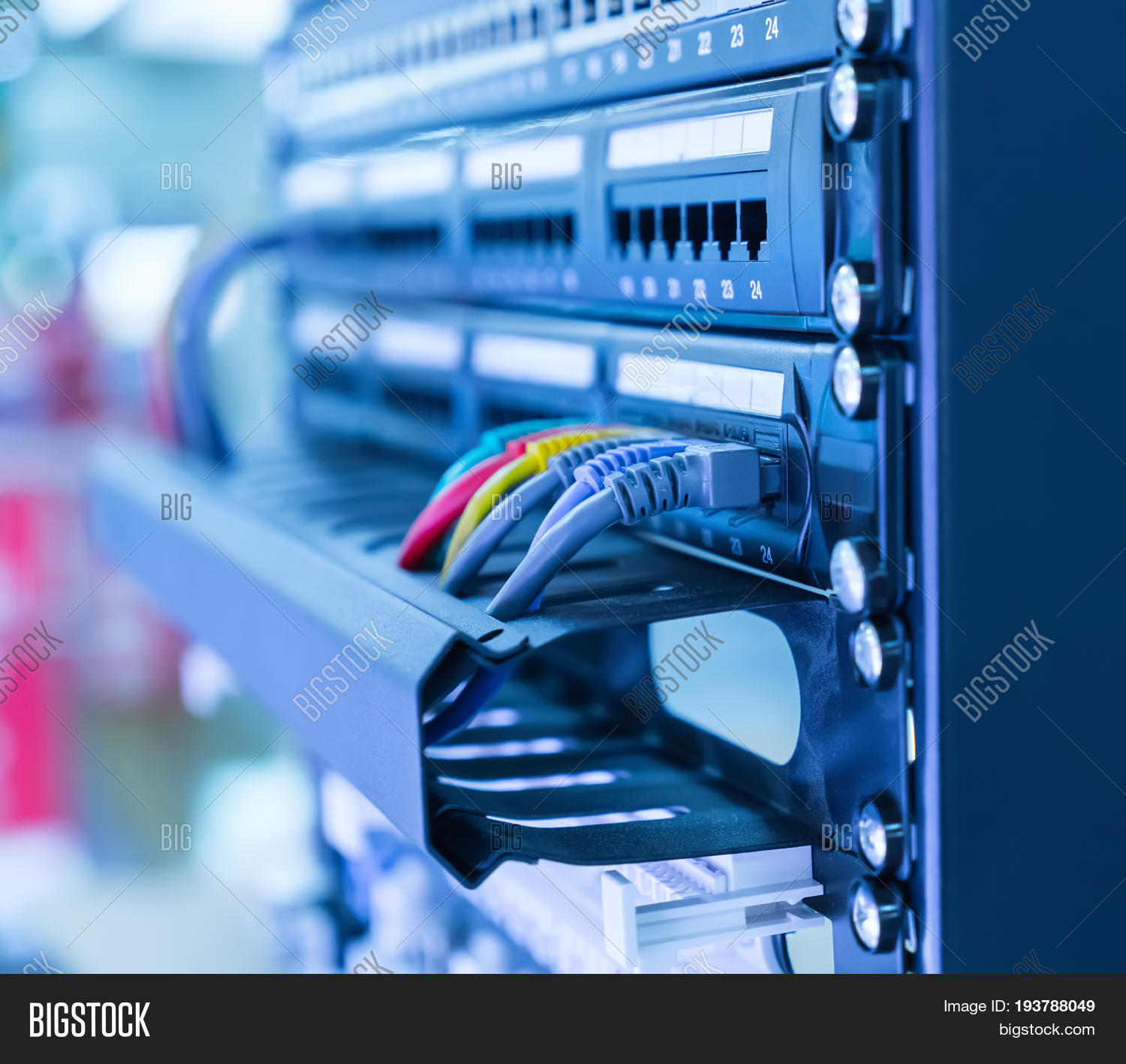 Network Cables Switch Image & Photo (Free Trial) | Bigstock