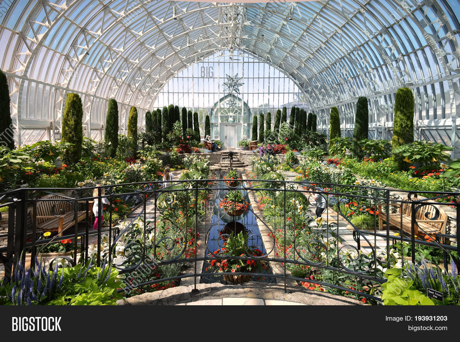 SAINT PAUL, MINNESOTA Image & Photo (Free Trial) | Bigstock