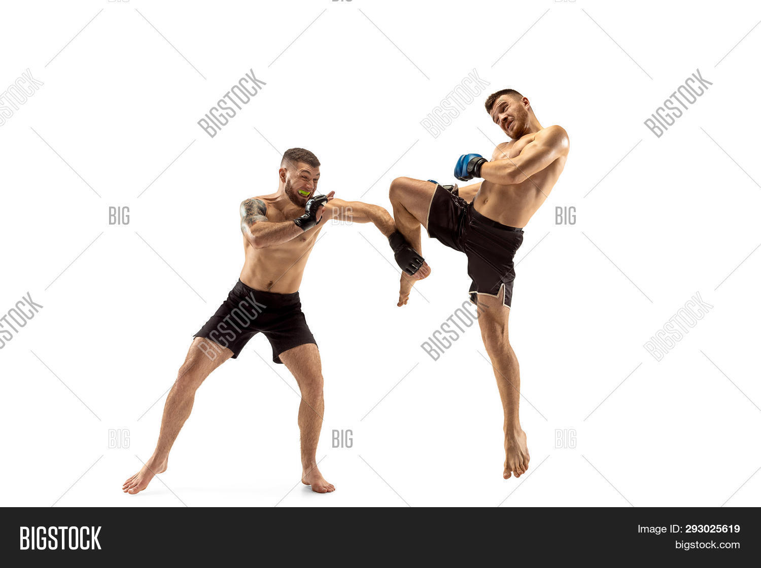 Mma. Two Professional Image & Photo (Free Trial) | Bigstock