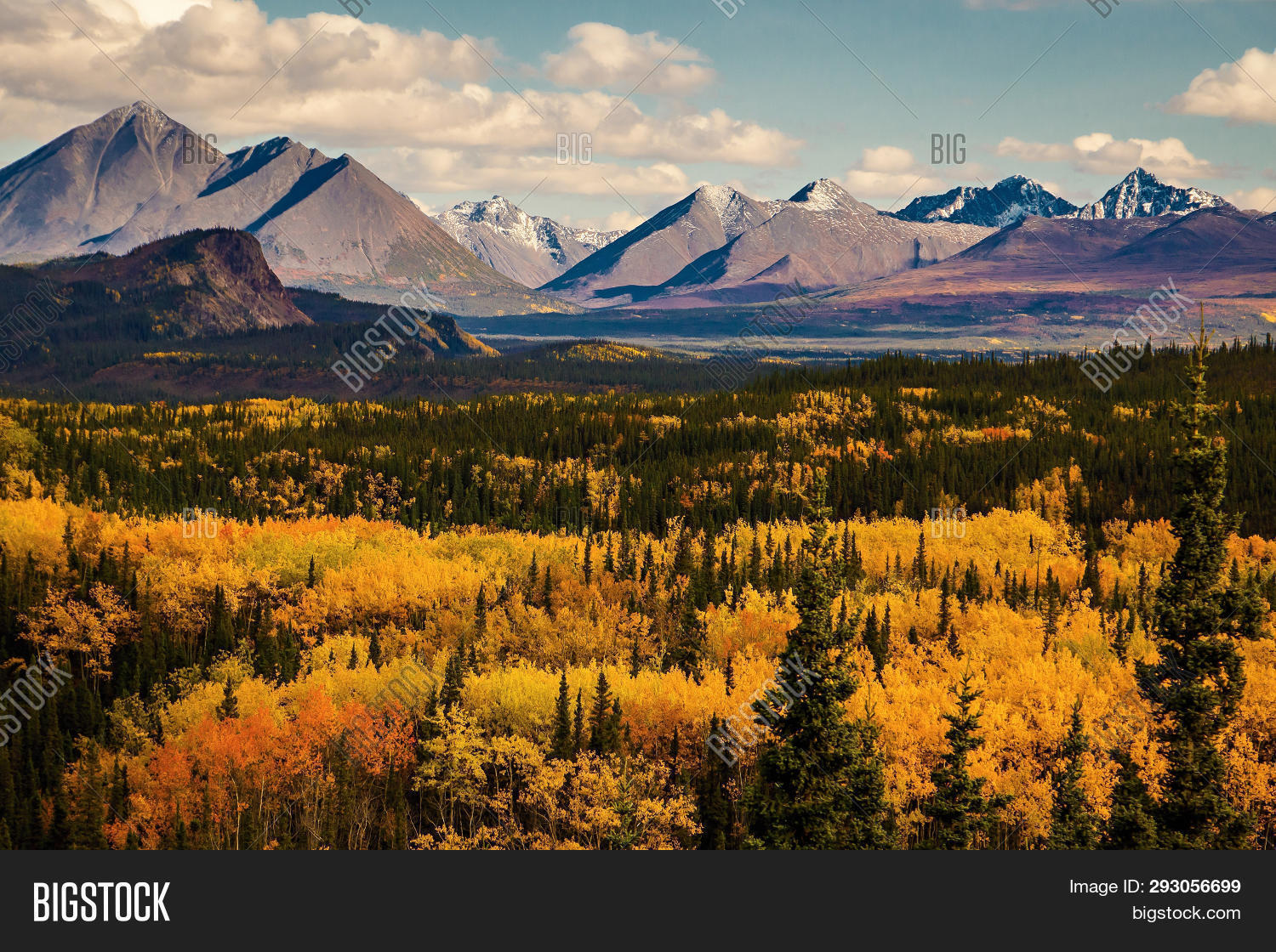 Autumn Colors Denali Image & Photo (Free Trial) | Bigstock