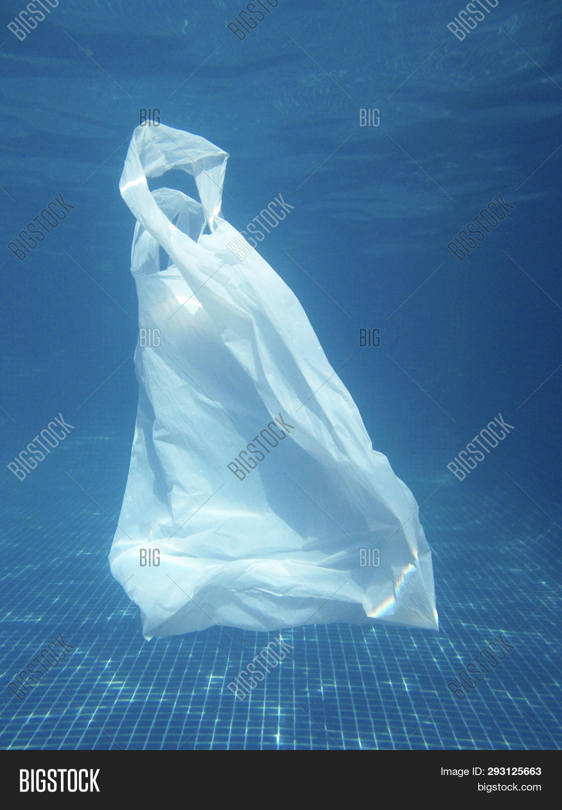 Plastic Bag Floating Image & Photo (Free Trial) | Bigstock
