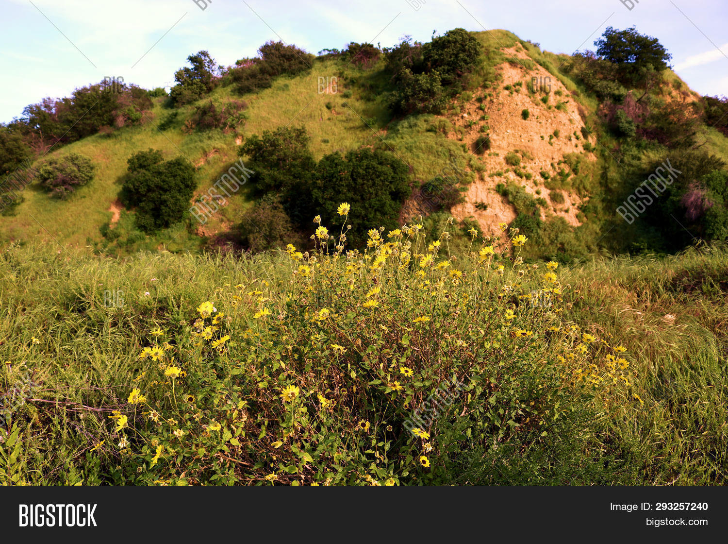 Rugged Hills Image & Photo (Free Trial) | Bigstock