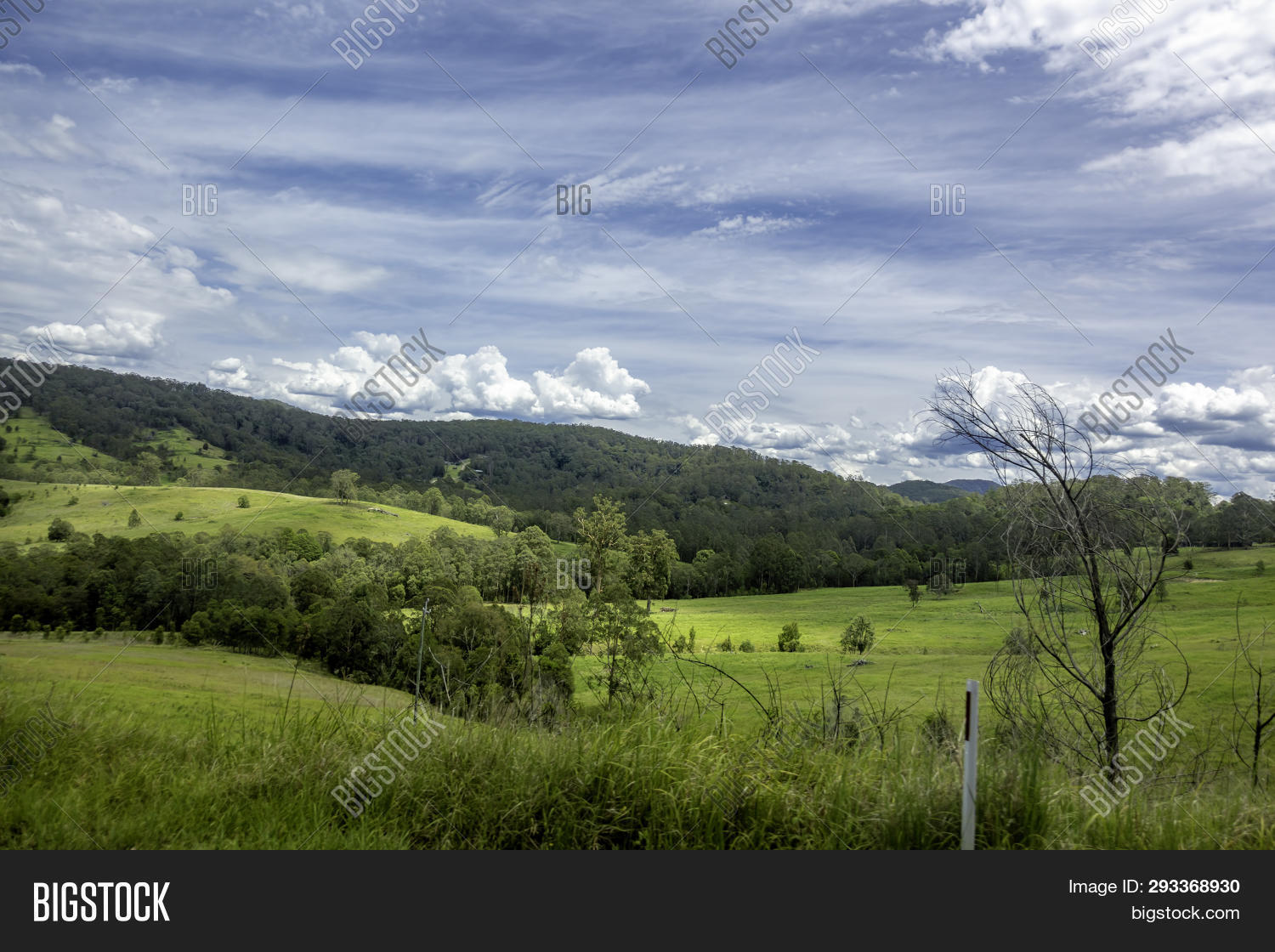Australian Countryside Image & Photo (Free Trial) | Bigstock