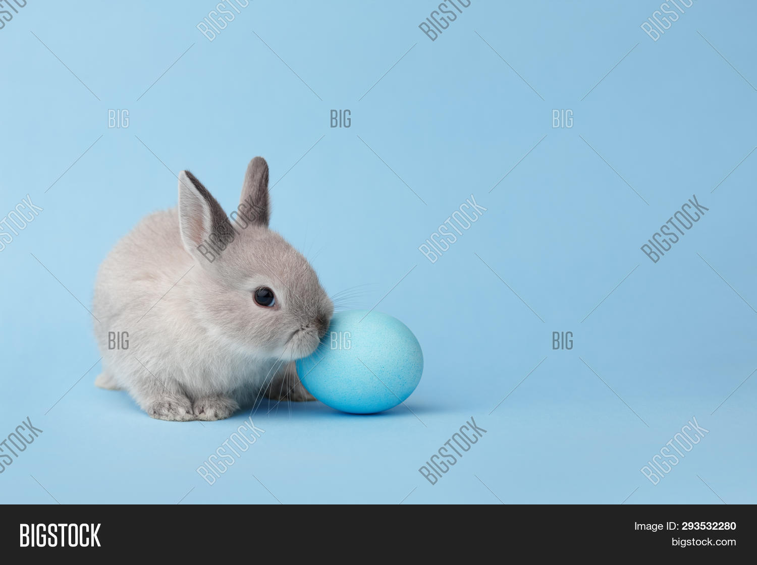 White Easter Bunny Image & Photo (Free Trial) | Bigstock