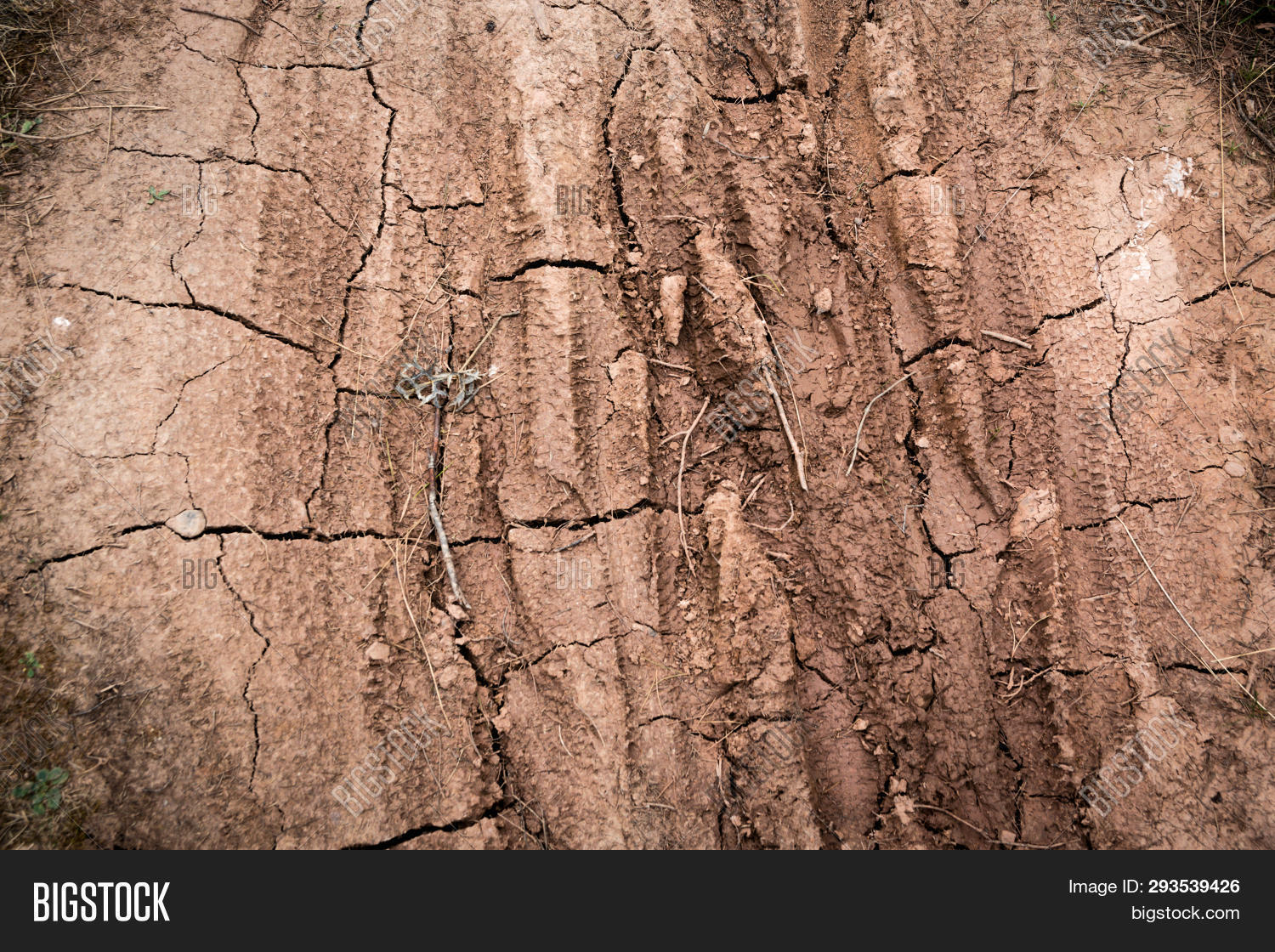 Wheel Trails On Mud Image & Photo (Free Trial) | Bigstock