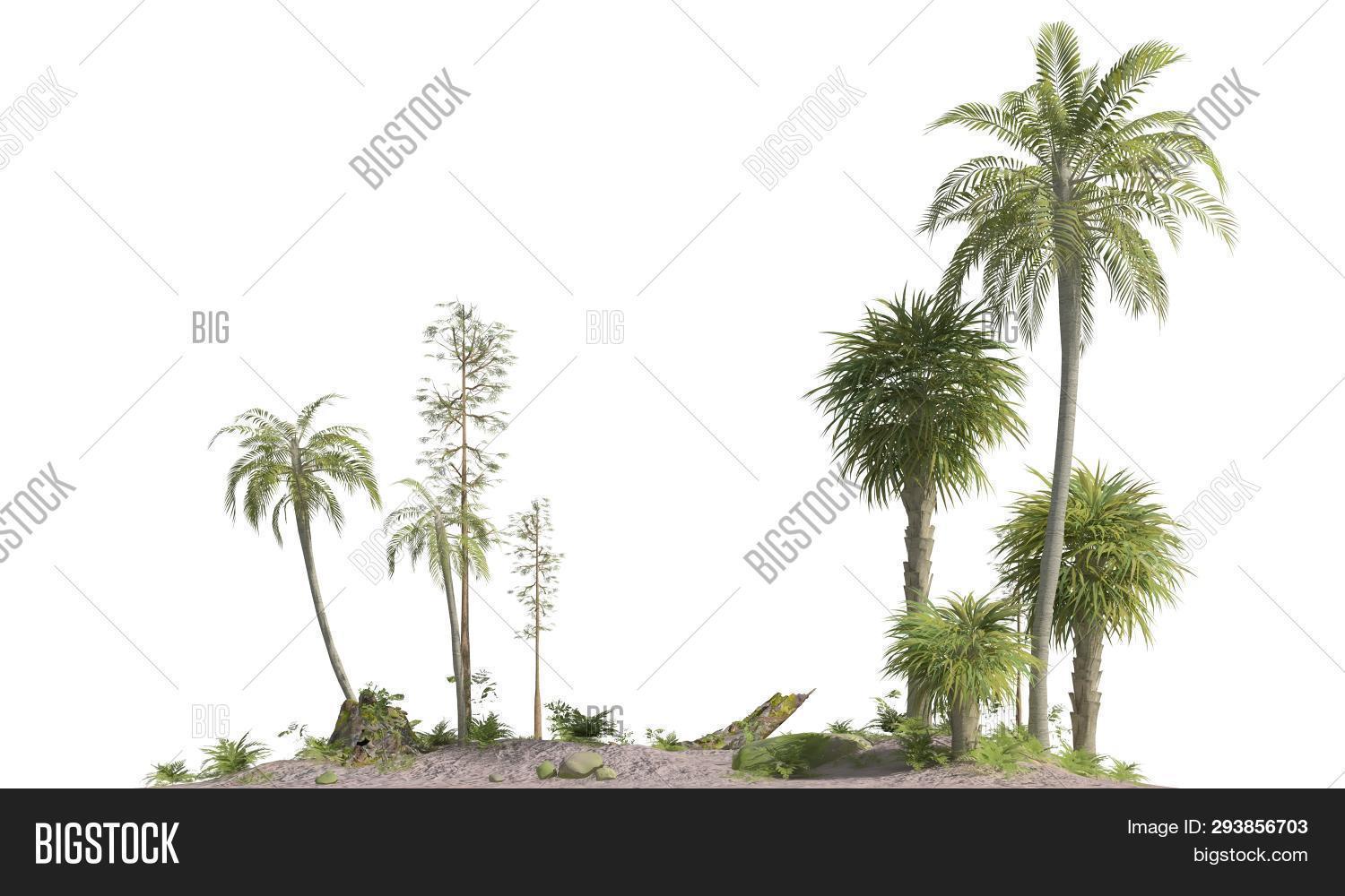 Trees Mesozoic Era Image & Photo (Free Trial) | Bigstock