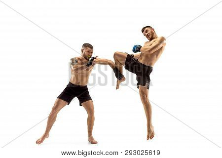 Mma. Two Professional Image & Photo (Free Trial) | Bigstock