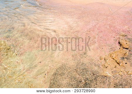 Texture Pink Sand Image & Photo (Free Trial) | Bigstock