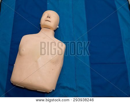 Realistic Training Image & Photo (Free Trial) | Bigstock