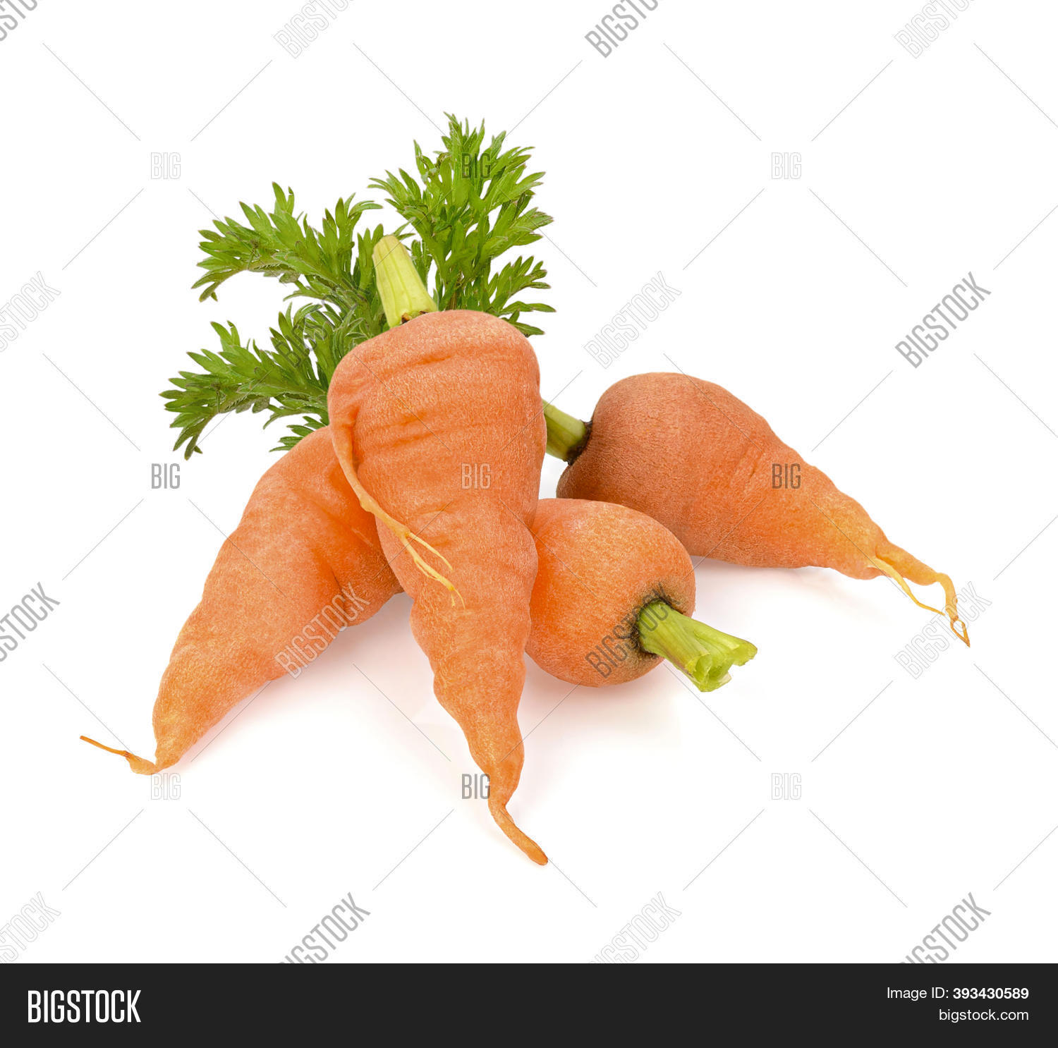 Fresh Baby Carrots Image & Photo (Free Trial) | Bigstock