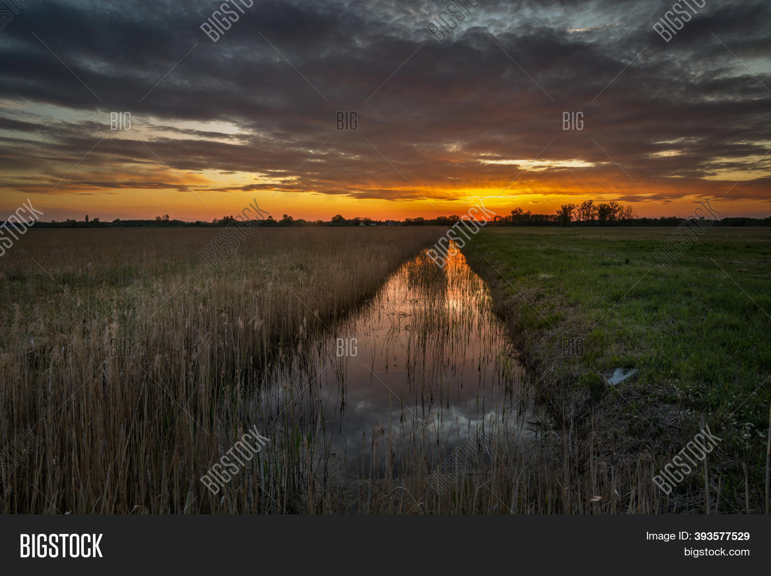 Water Canal Reeds Image & Photo (Free Trial) | Bigstock