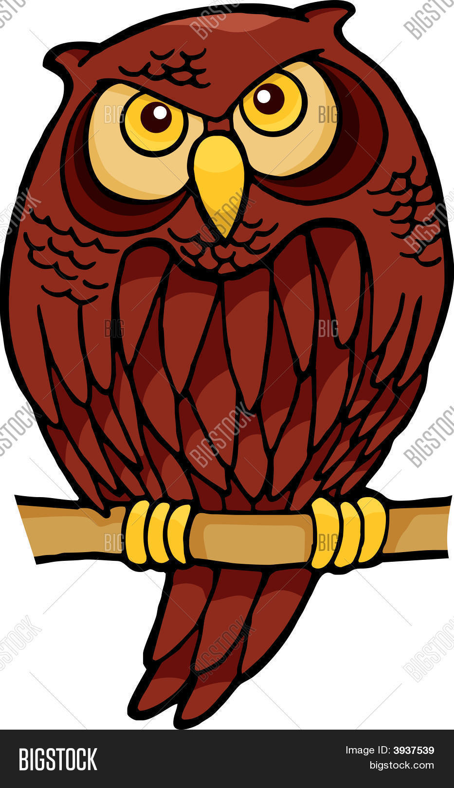 Cartoon Owl Vector & Photo (Free Trial) | Bigstock