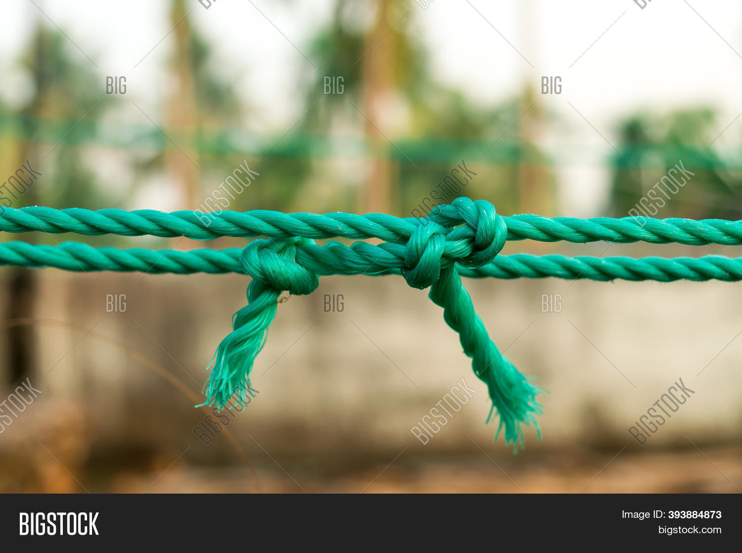 Rope Tie Knot Closeup Image & Photo (Free Trial) | Bigstock