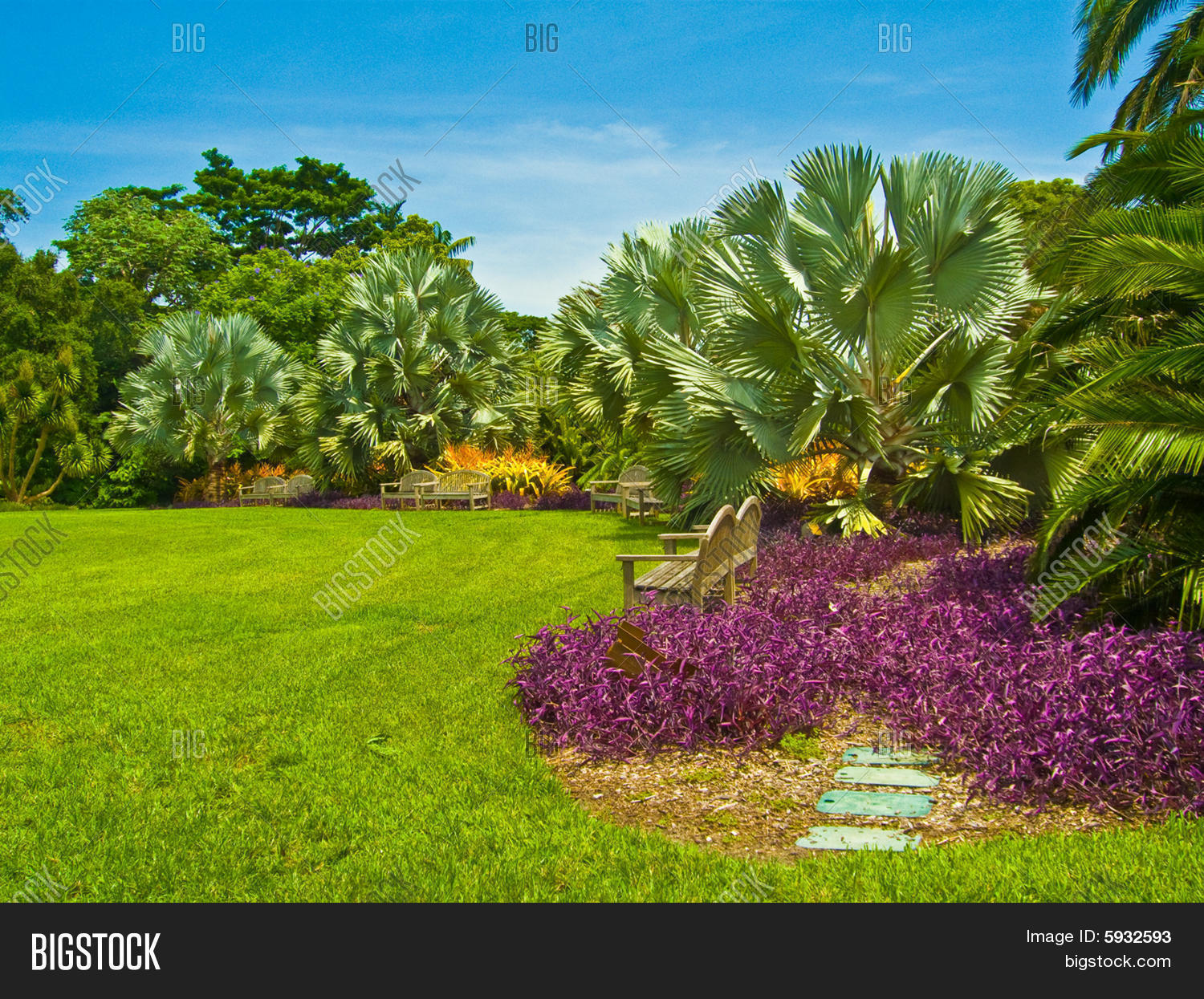 Colorful Tropical Image & Photo (Free Trial) | Bigstock